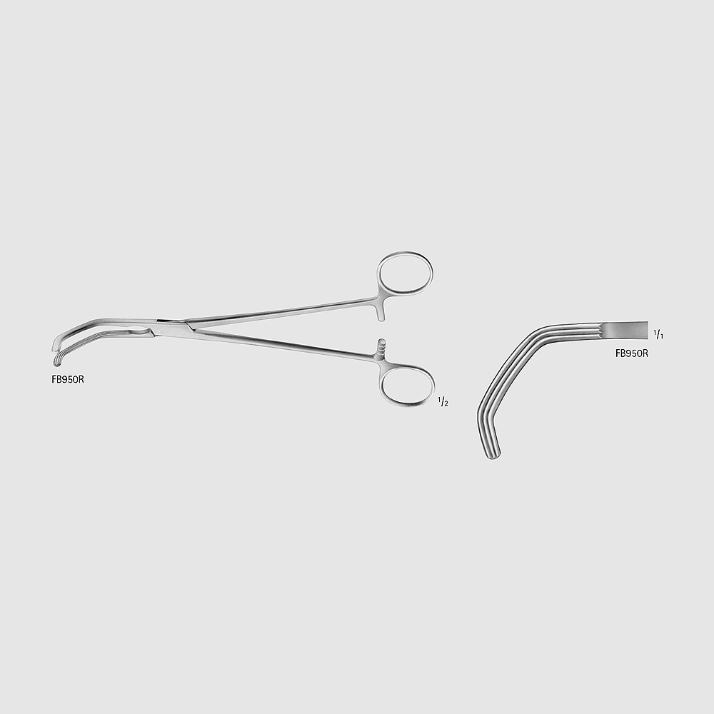 PRICE-THOMAS Bronchus Forceps – Dr. Simon