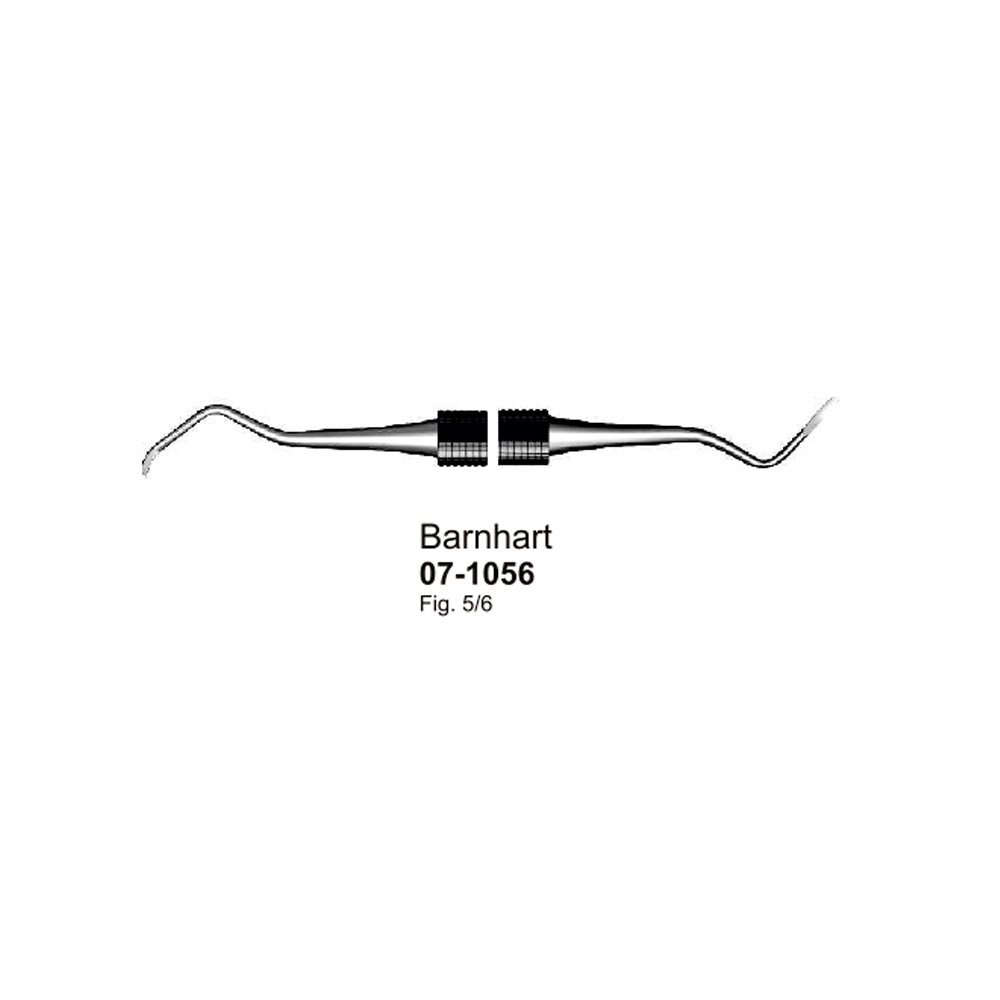 Barnhart – Dr. Simon