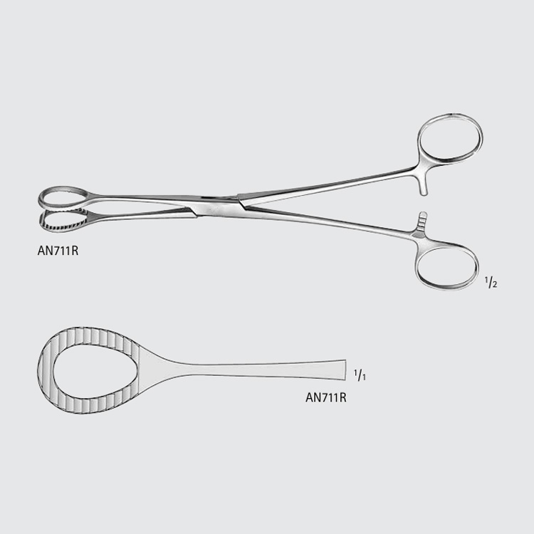 HEYWOOD-SMITH Tongue Clamp – Dr. Simon