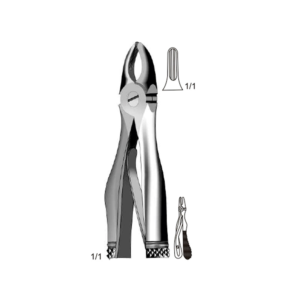 For lower Incisors & Canines – Dr. Simon