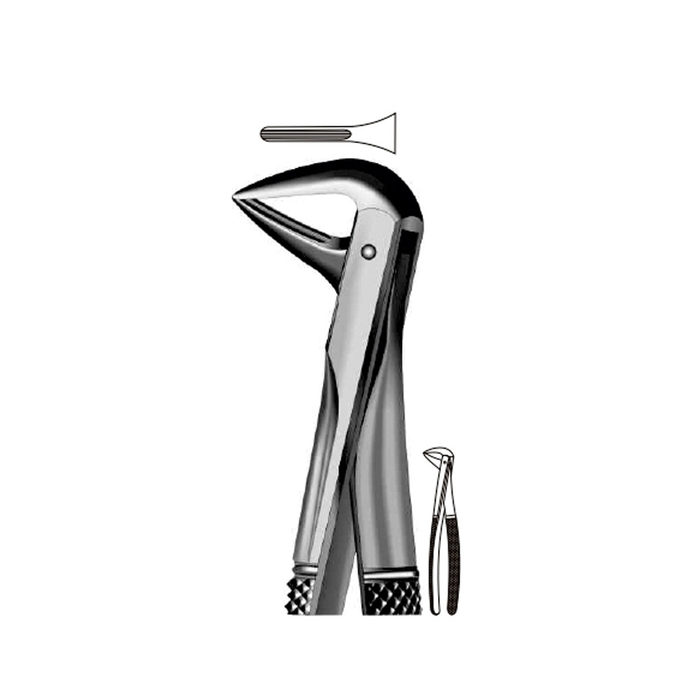 For Lower Incisors And Roots – Dr. Simon